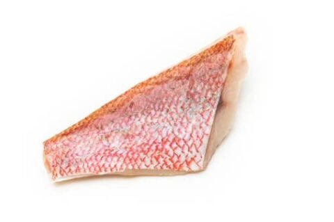 SNAPPER FILLET, CARIBBEAN RED ONCE CUT | Netuno USA | Seafood Wholesale