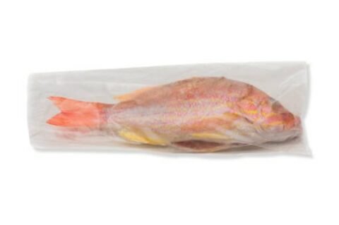 Lane Snapper | Netuno USA | Seafood Wholesale