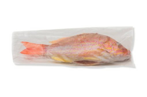 Lane Snapper | Netuno USA | Seafood Wholesale
